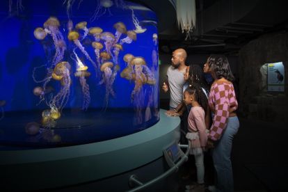 Aquarium of the Pacific - Los Angeles, CA
